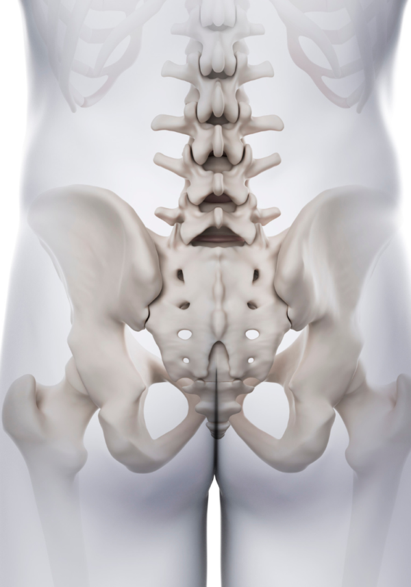 Tailbone Pain Problems and Issues - Relief Physical Therapy